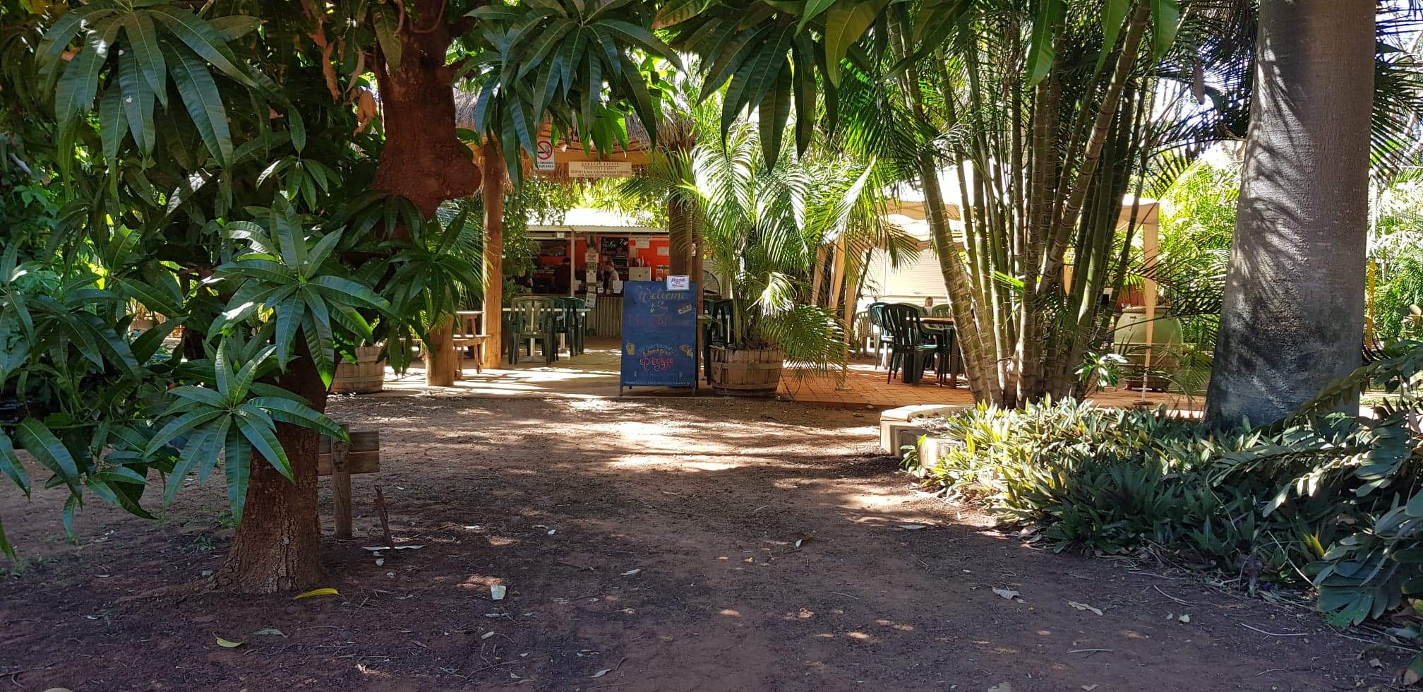 🌺🌴 Welcome to the Mango Place ! 🌴🌺